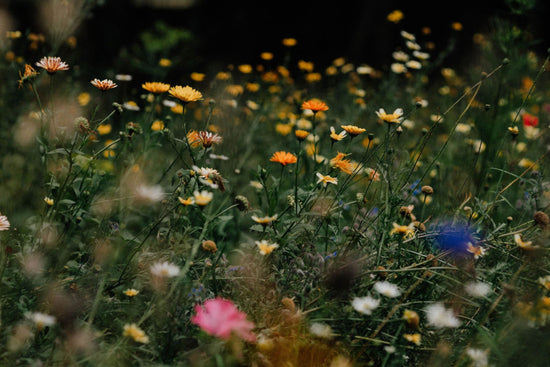 Handmade Sustainable Fashion Made in the UK | Withnell